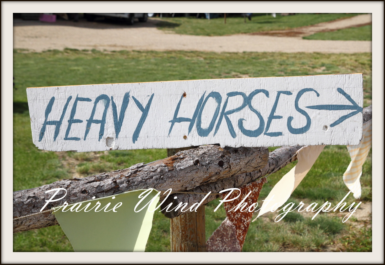 Historical Bell Barn | Prairie Wind Photography