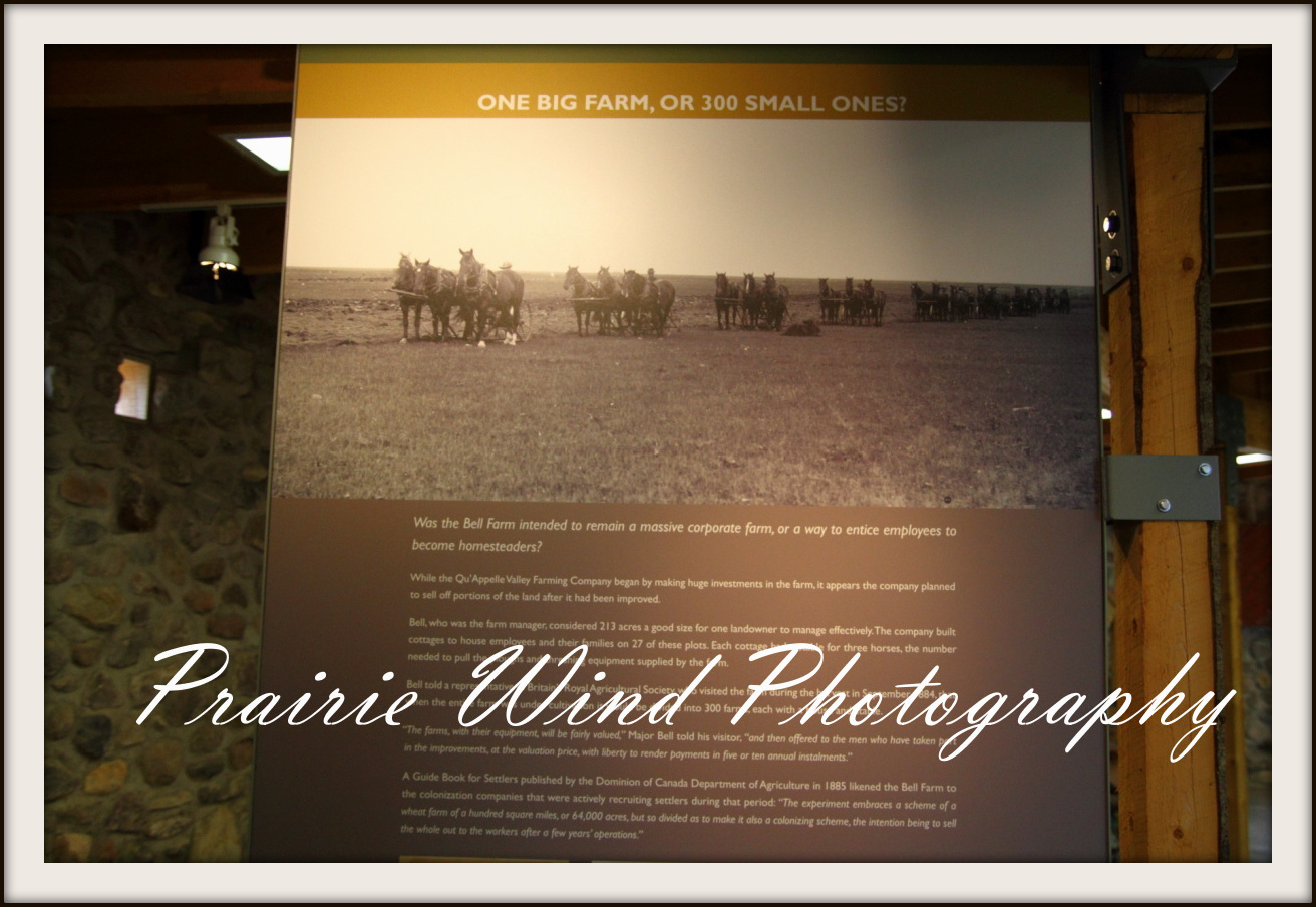 Historical Bell Barn | Prairie Wind Photography